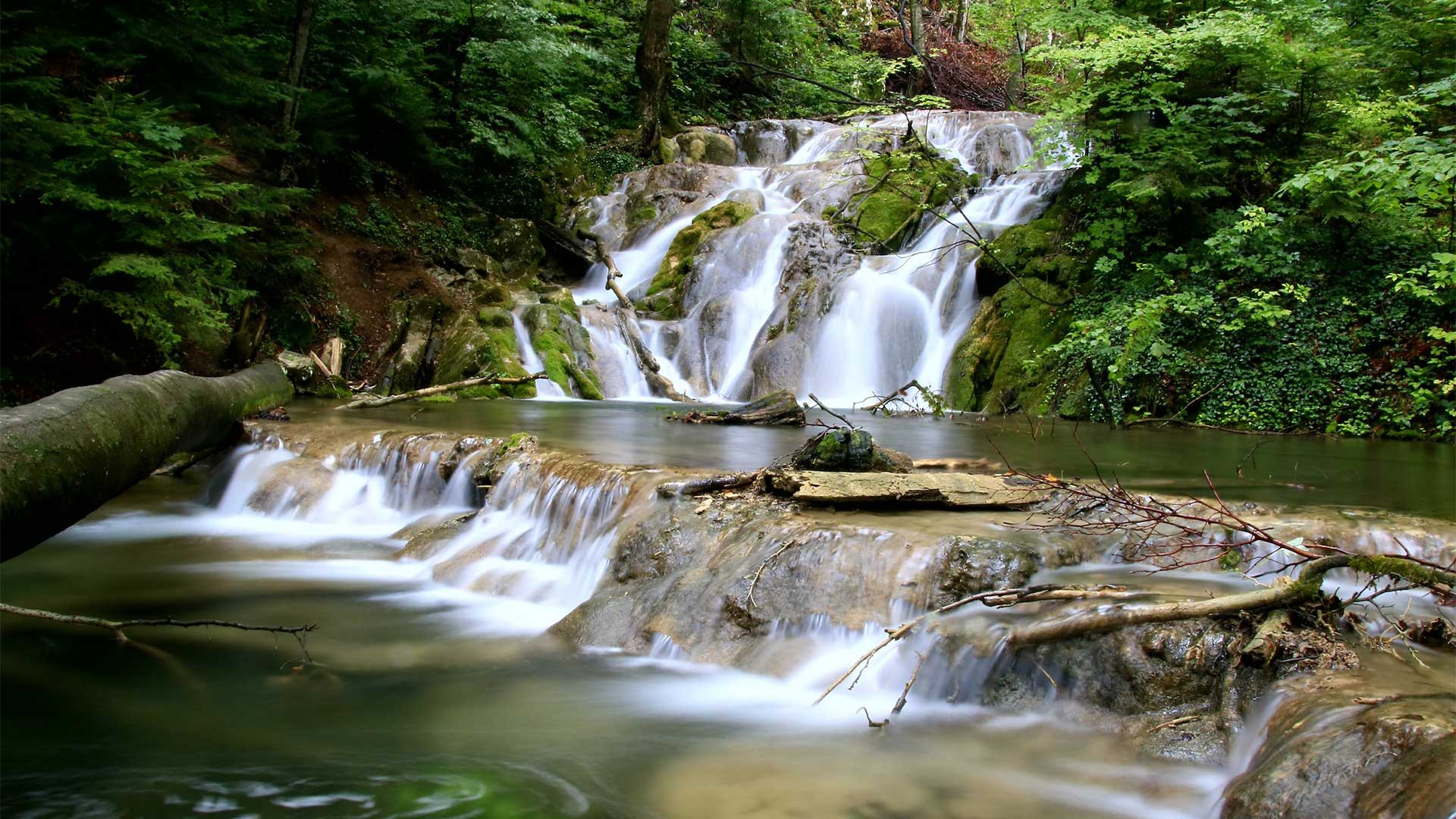 Home | Discover Oltenia